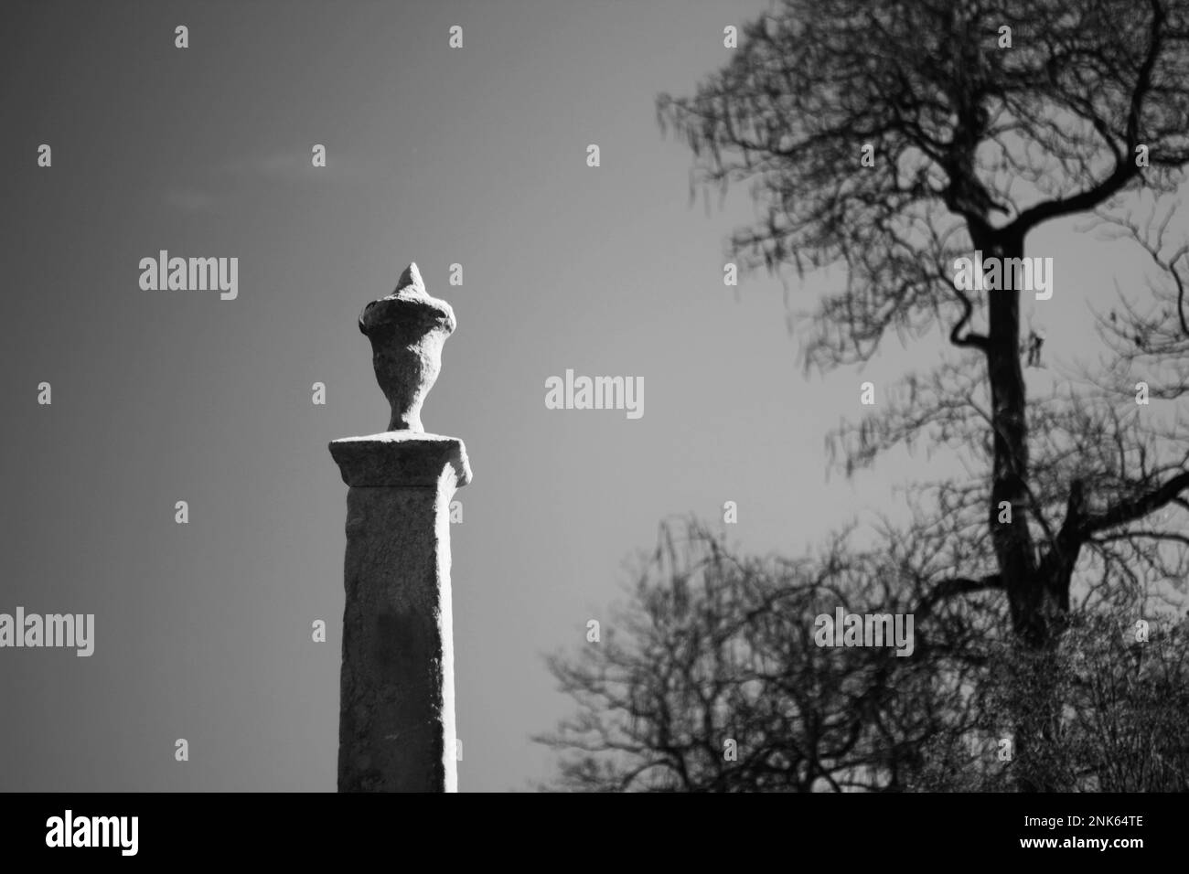 A single tower standing in the park against the clear sky in a black ...