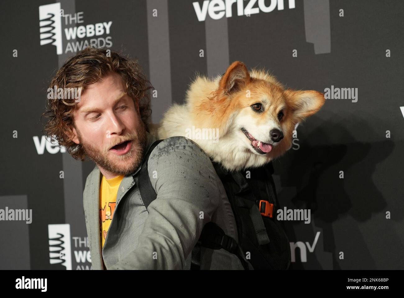 Photo by: John Nacion/STAR MAX/IPx 2022 5/16/22 Maxine the Fluffy Corgi ...