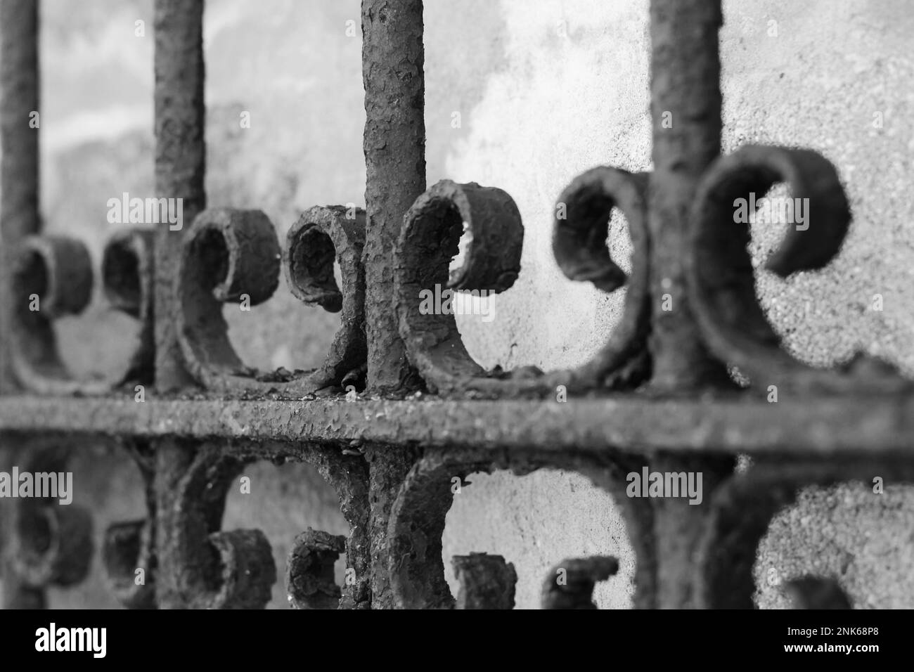 Rusted curly medieval metal gate decorations in a black and white ...