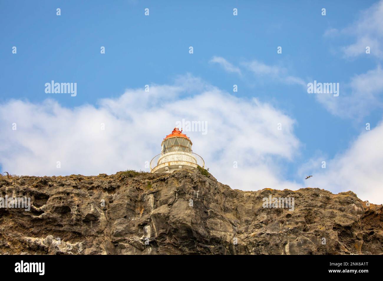 Taiaroa Head Lighhouse at the entrance to Otago Harbour near Port ...