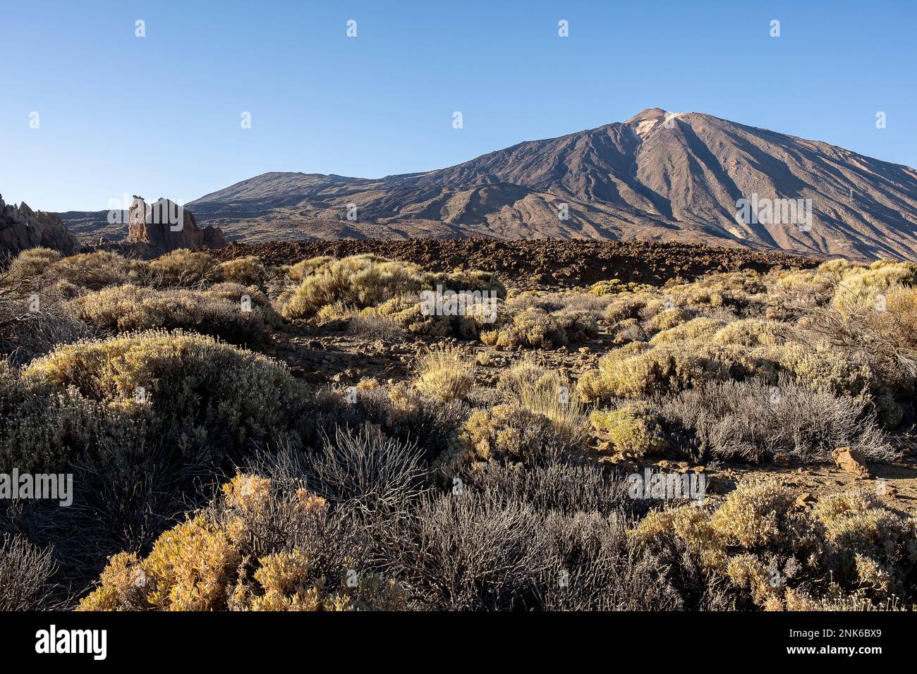 Teide, volcanic rock formations, and native vegetation, in Teide ...