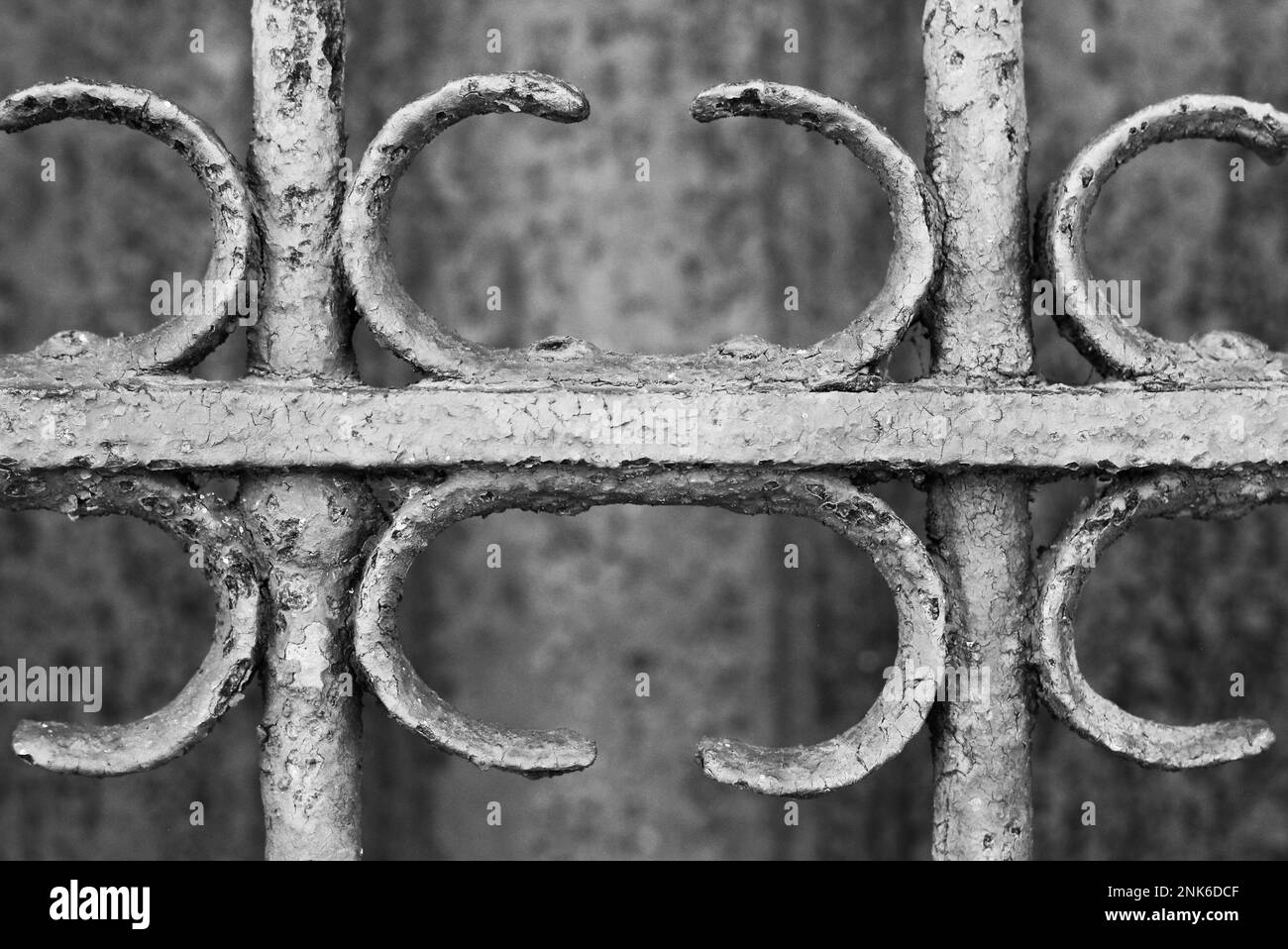 Rusted curly medieval metal gate decorations in a black and white ...
