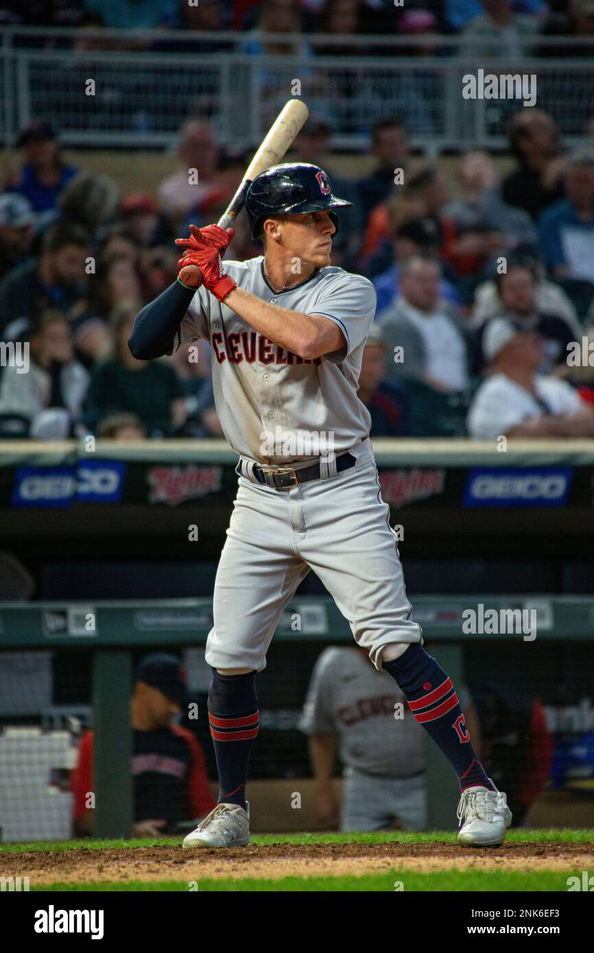 Baseball Batter Stance