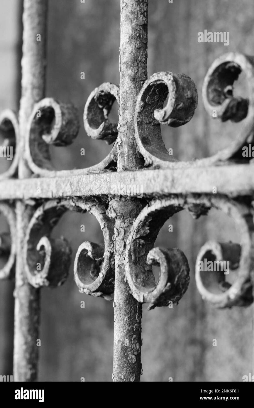 Rusted curly medieval metal gate decorations in a black and white ...