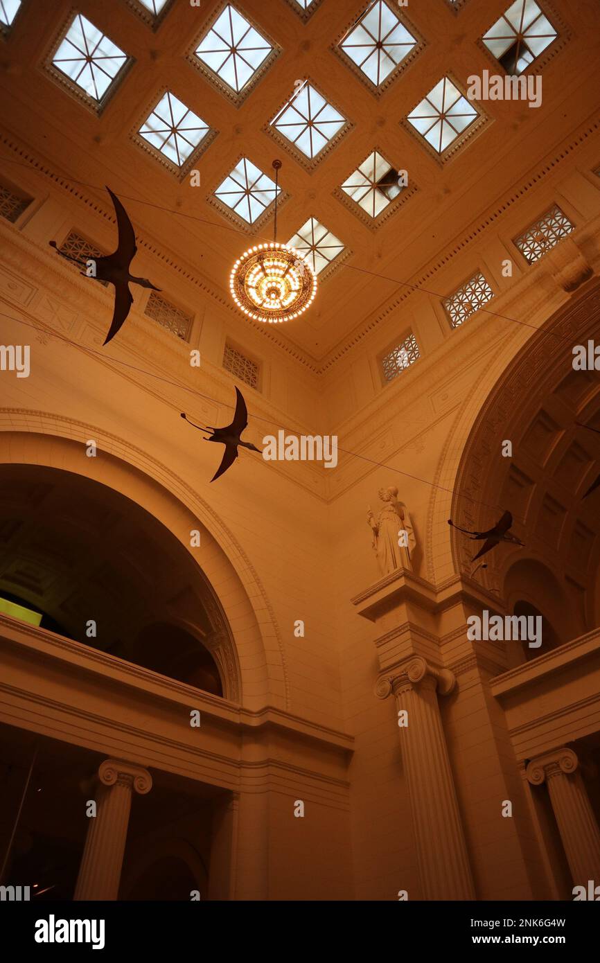 Field Museum Chicago Lockers at Loren Griffith blog