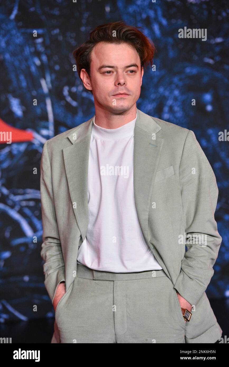 Photo by: John Nacion/STAR MAX/IPx 2022 5/14/22 Charlie Heaton at the ...