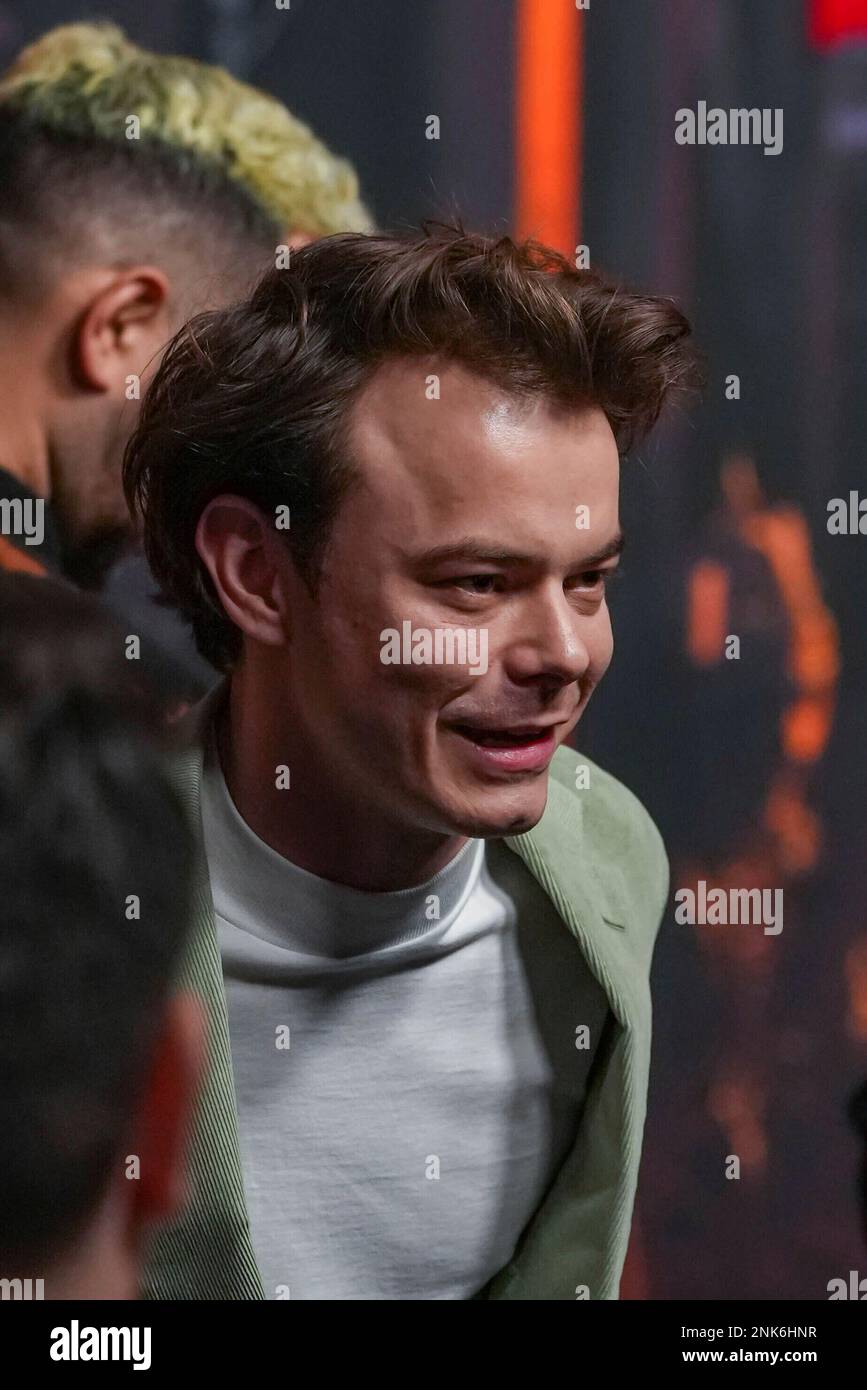 Photo by: John Nacion/STAR MAX/IPx 2022 5/14/22 Charlie Heaton at the ...