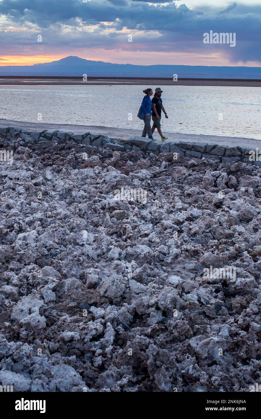 Laguna Chaxa and salt formations at Atacama Salt Flat, Atacama Desert ...