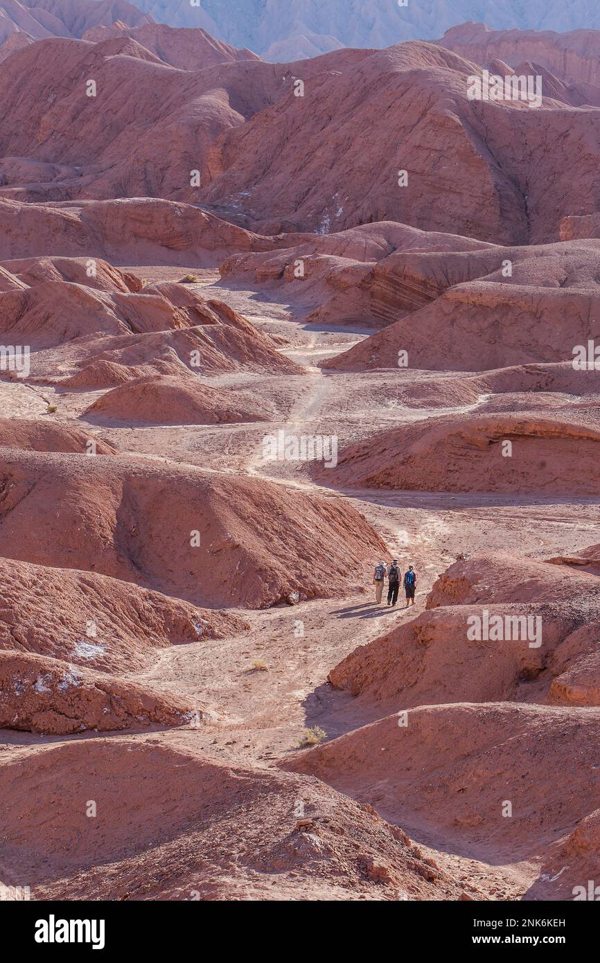 walking in search of Quebrada del Diablo (Devil´s gorge), Atacama ...