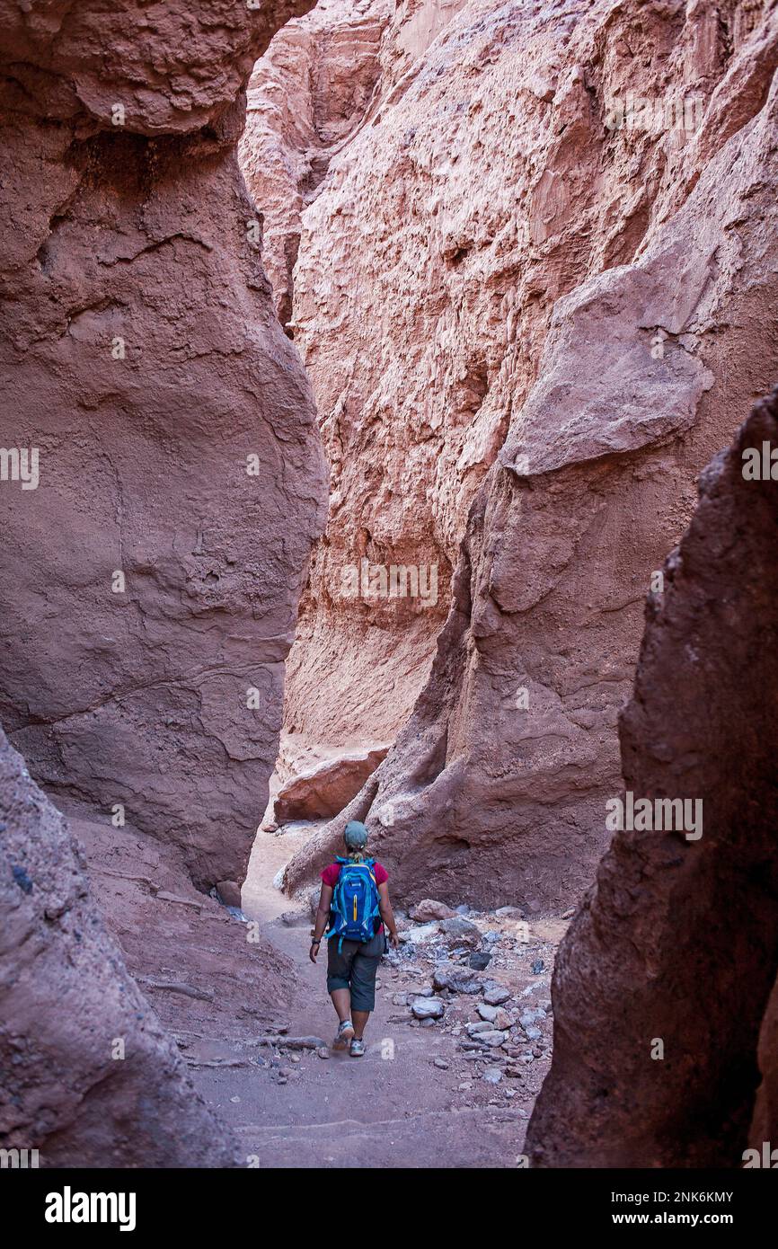 Trekking in Quebrada del Diablo (Devil´s gorge), Atacama desert, near ...