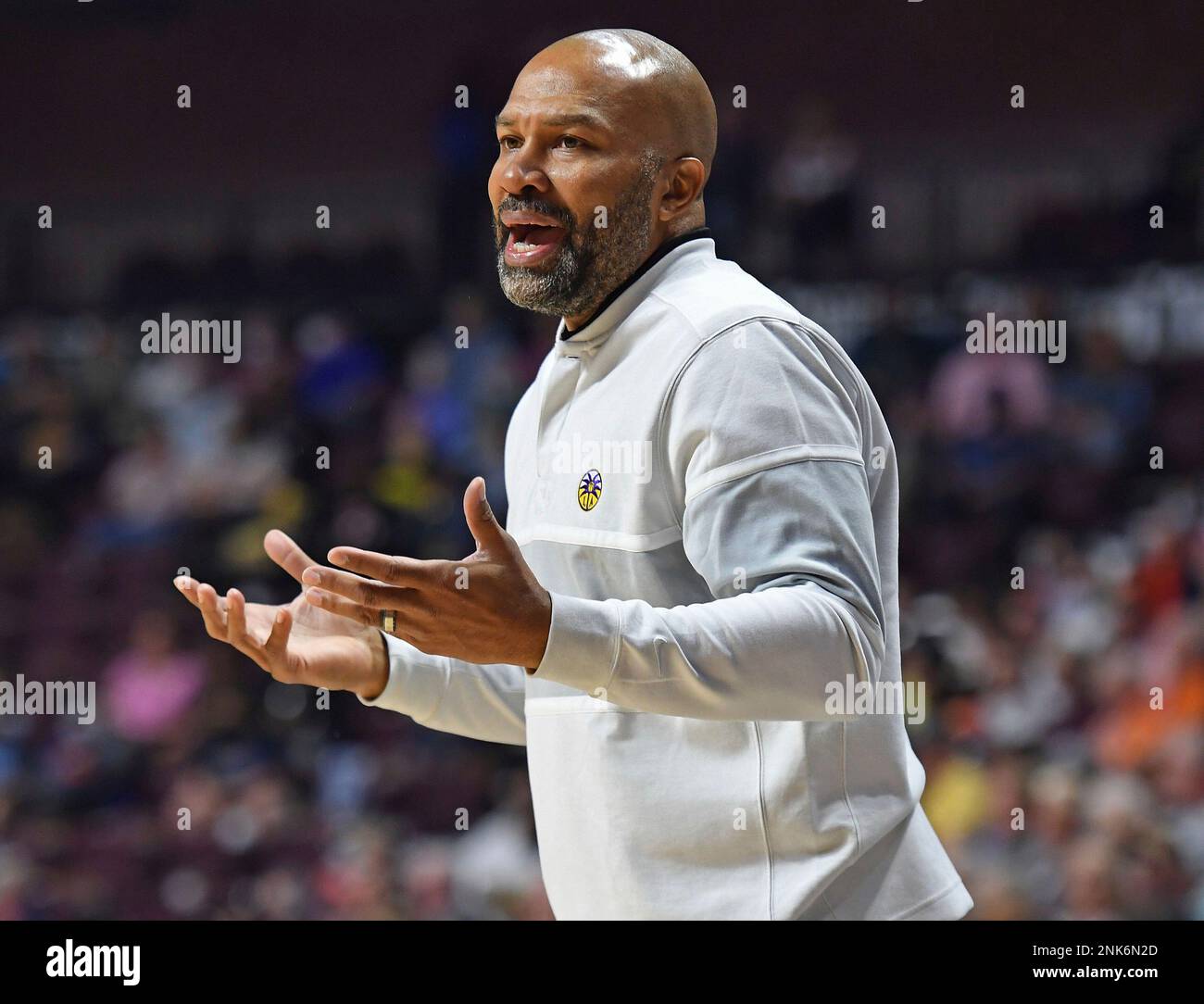 Los Angeles Sparks head coach Derek Fisher argues a call during play ...