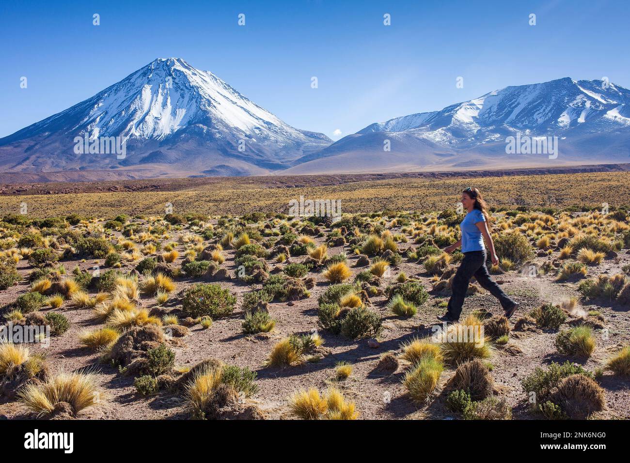 Andes Mountains,volcanoes Licancabur and Juriques, Altiplano, Puna ...