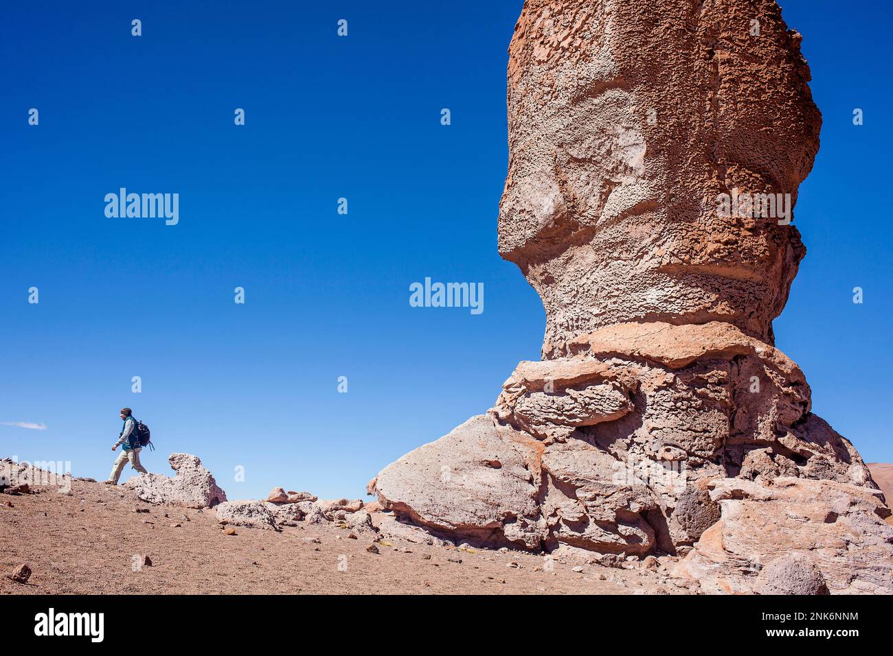 Monjes de Pacana (Monks of Pacana), Volcanic rock formation ...