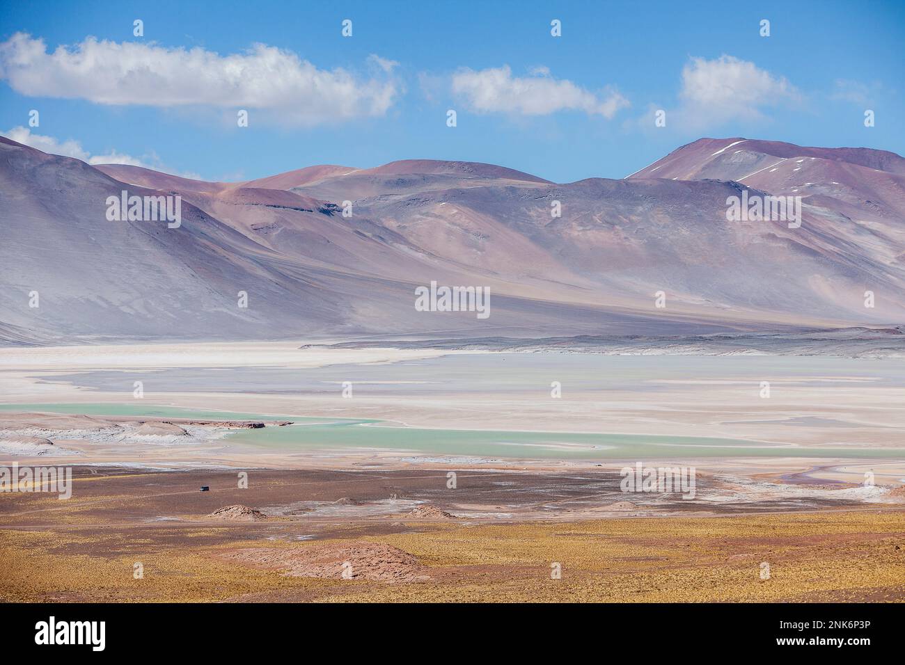 Salar (salt flats) or laguna (lagoon) de Talar, also called de Aguas ...
