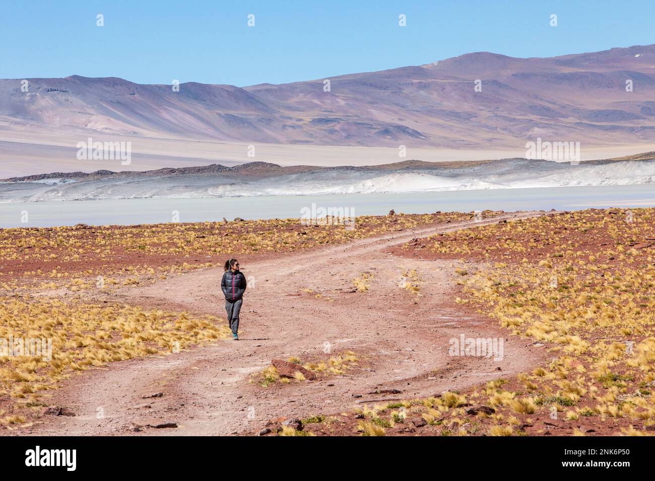 Salar (salt flats) or laguna (lagoon) de Talar, also called de Aguas ...
