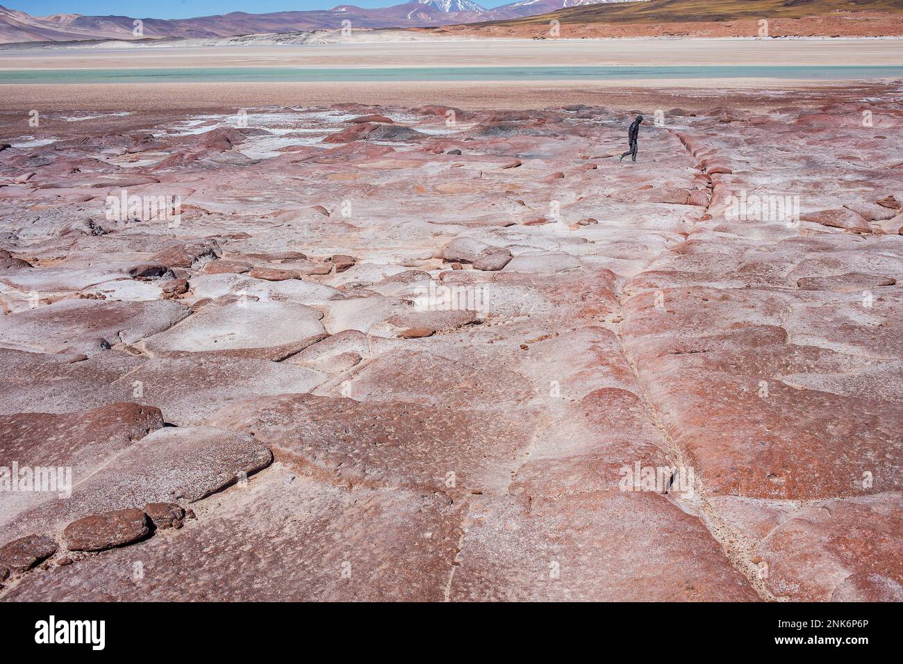 Piedras Rojas (Red Stones). In Salar (salt flats) or laguna (lagoon) de ...