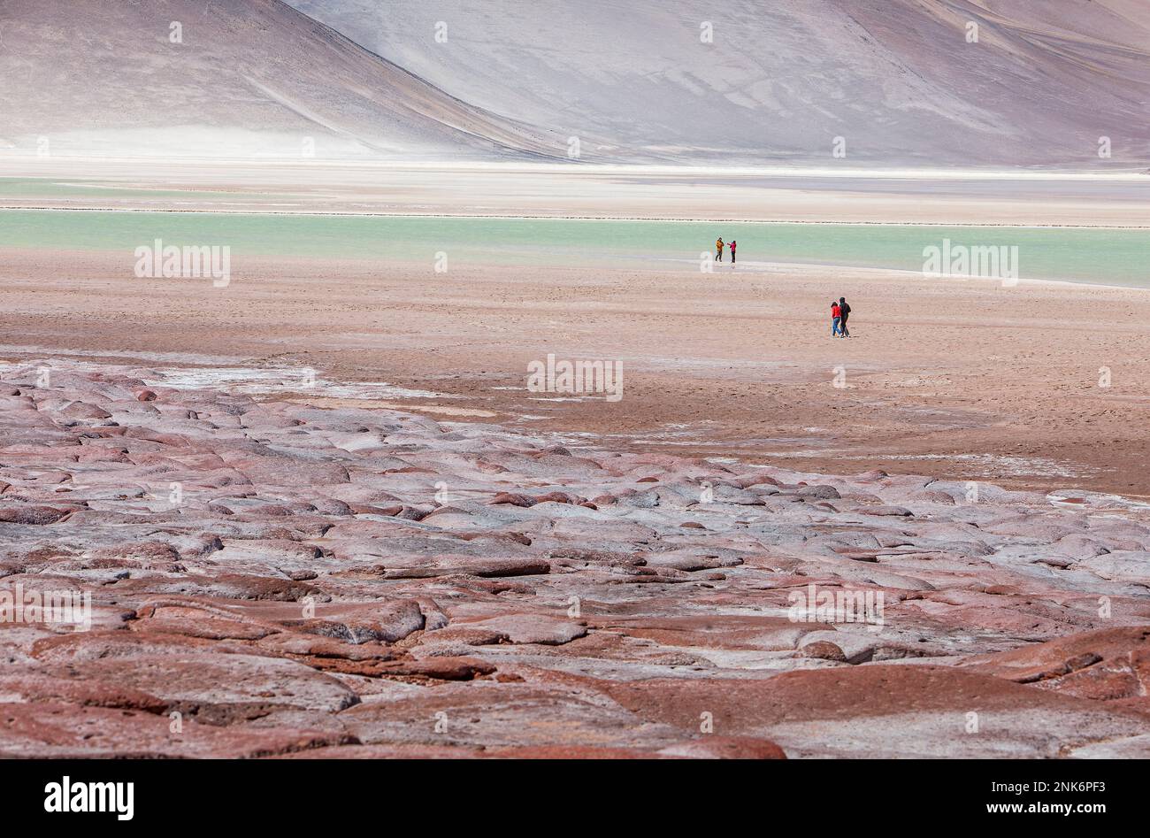 Salar (salt flats) or laguna (lagoon) de Talar, also called de Aguas ...