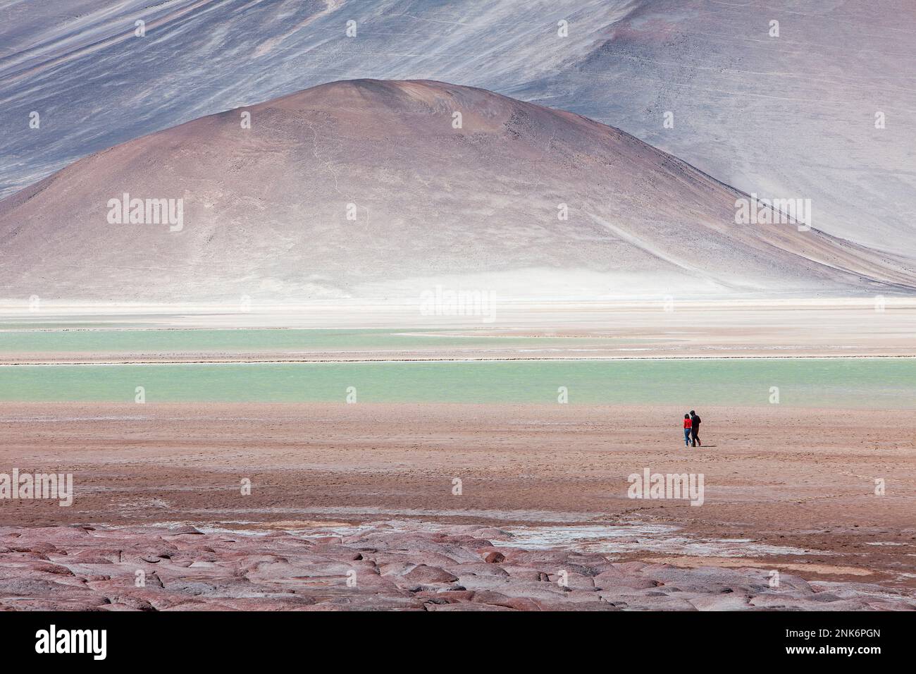 Salar (salt flats) or laguna (lagoon) de Talar, also called de Aguas ...