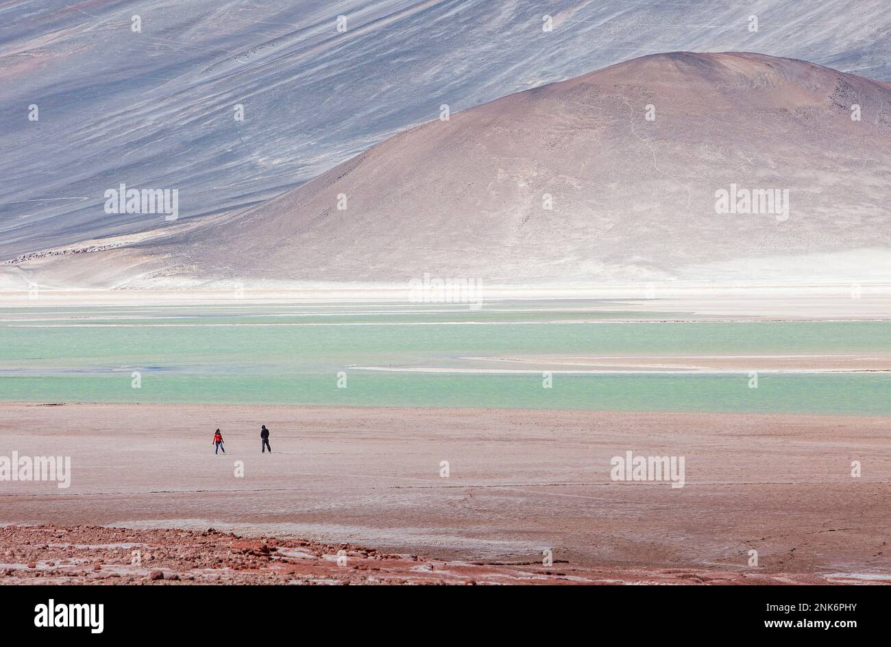 Salar (salt flats) or laguna (lagoon) de Talar, also called de Aguas ...