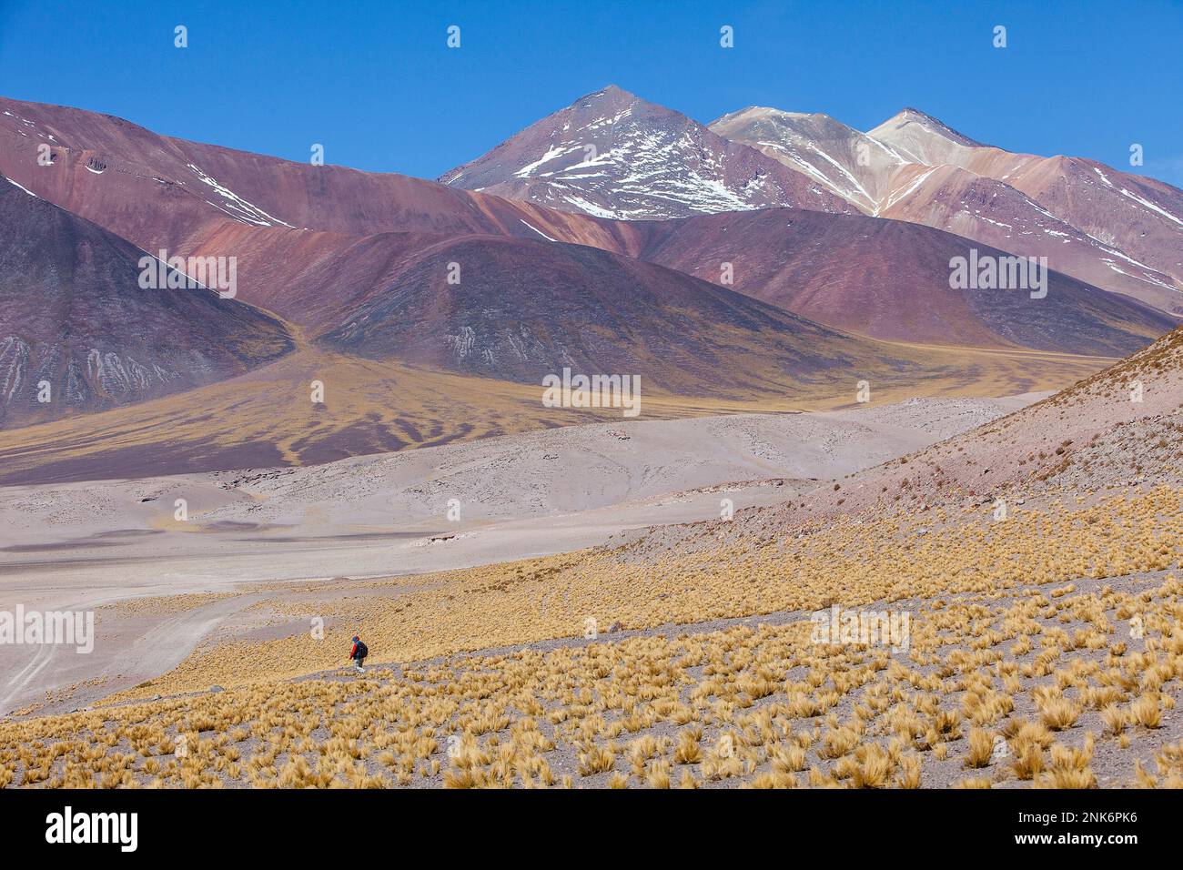 Andes Mountains, in Salar (salt flats) or laguna (lagoon) de Tuyaito ...