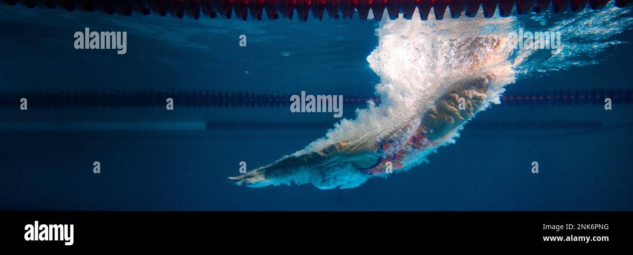 Diving into water. Professional female swimmer training in swimming ...