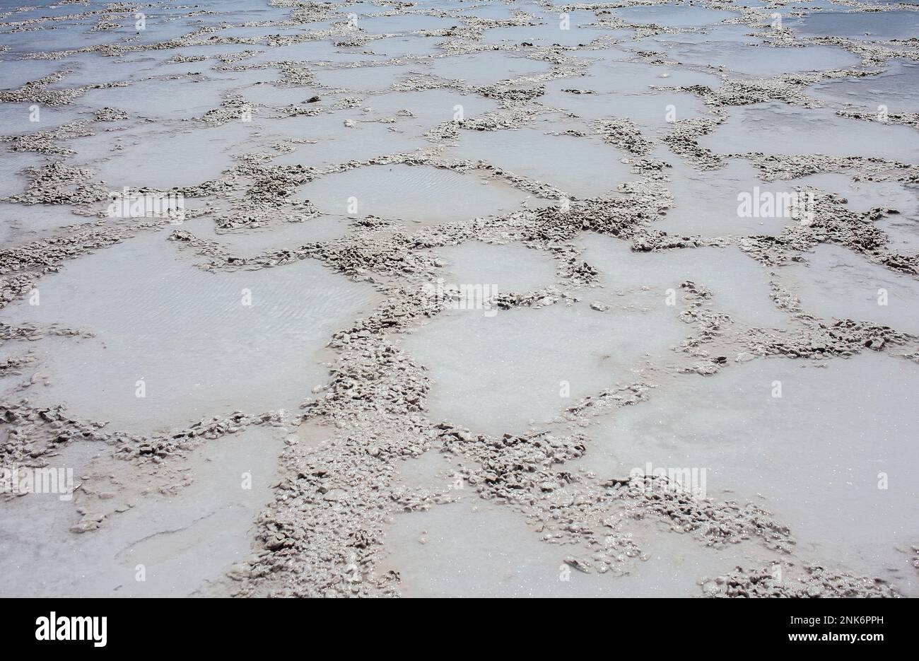 Detail of Salt formations, in Salar (salt flats) or laguna (lagoon) de ...