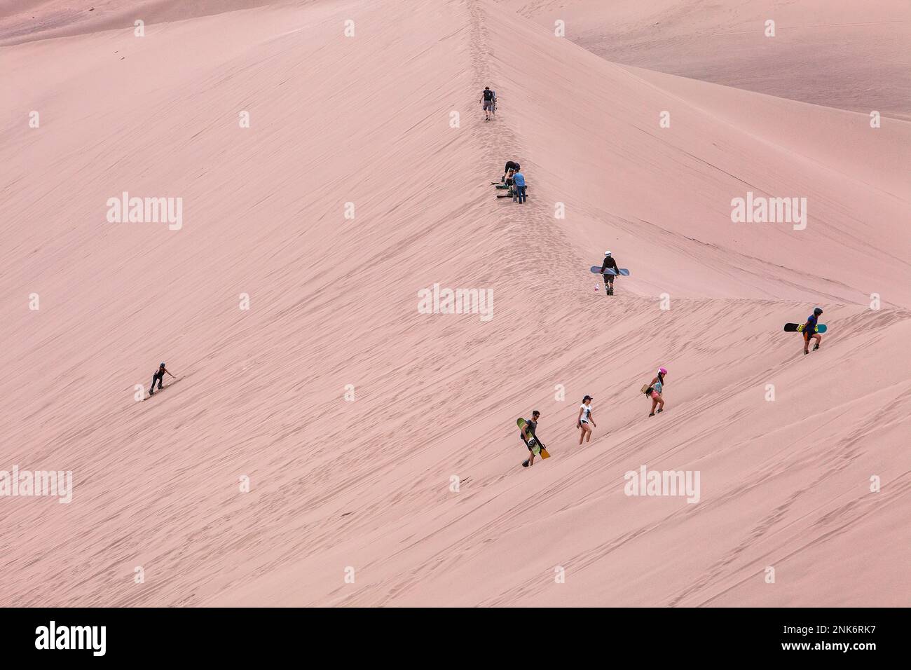 Sand boarding in the dune, in Duna Mayor (Greater Dune), in Valle de la ...