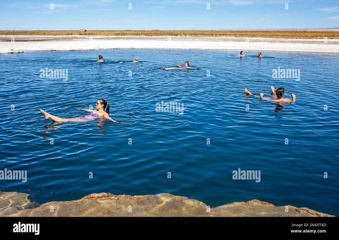 Floating in Laguna Cejar or Sejas, Salar de Atacama, Atacama Desert ...