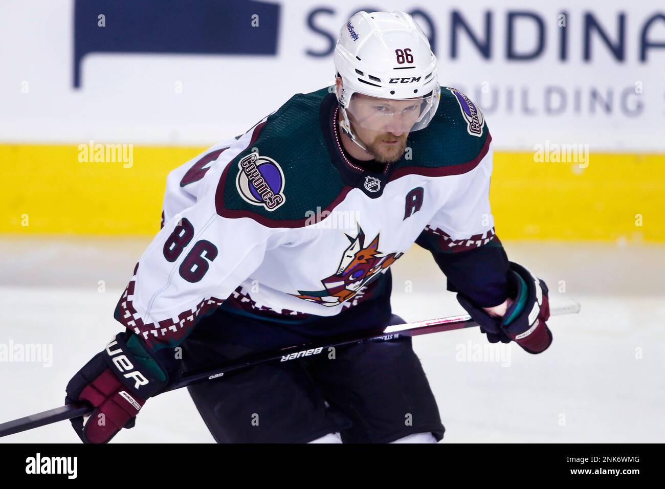 NHL profile photo on Arizona Coyotes player Anton Stralman, from Sweden ...
