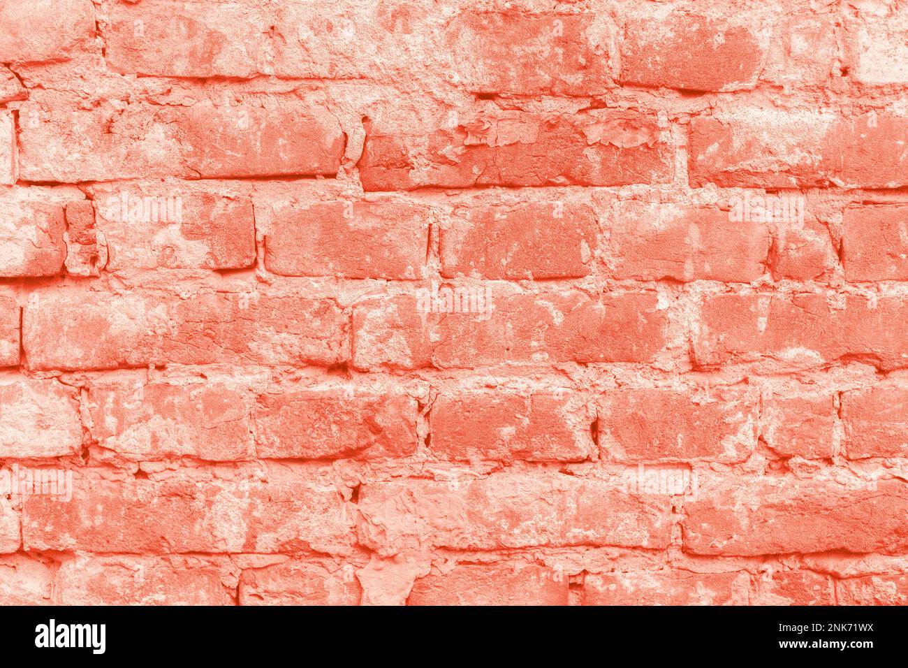 Trend photography Pantone Color of the Year 2019 Living Coral. Brick ...