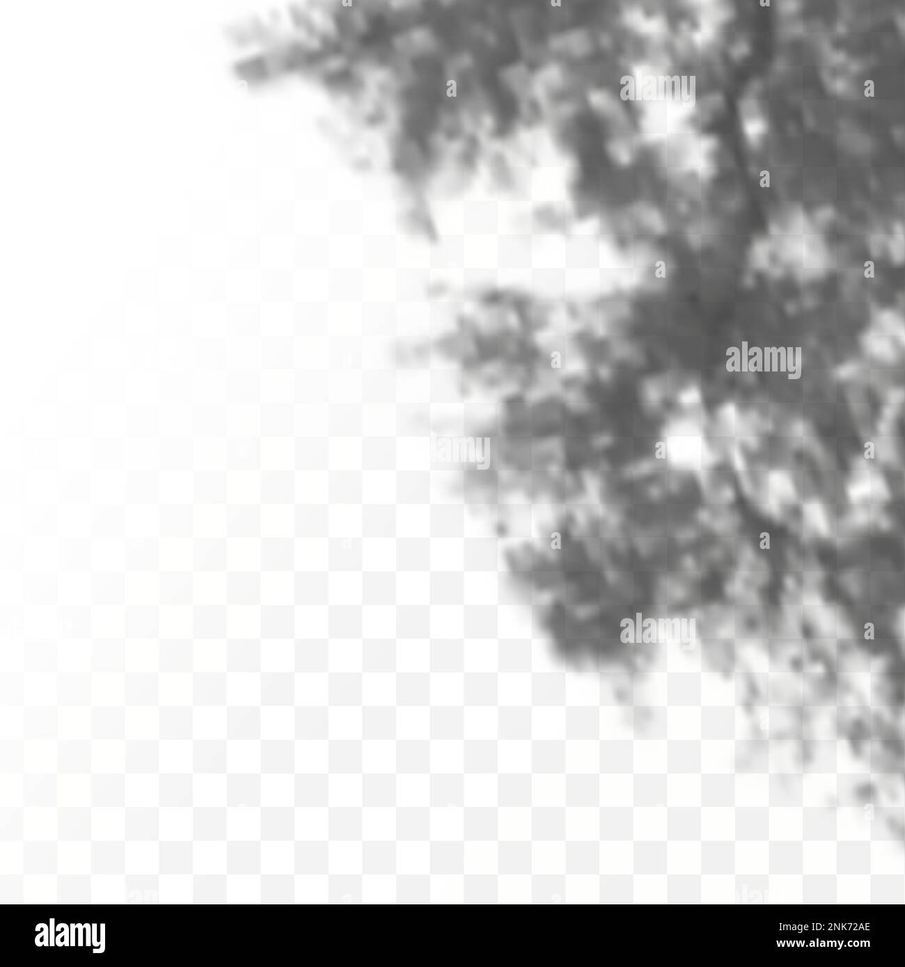 The effect of overlaying shadows. Realistic shadow tropical leaves and ...