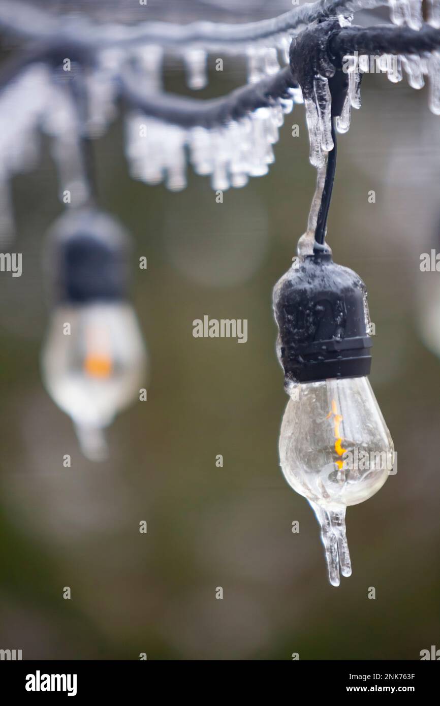 Power lines suffer a heavy coating of ice in Bloomfield Hills MI USA ...