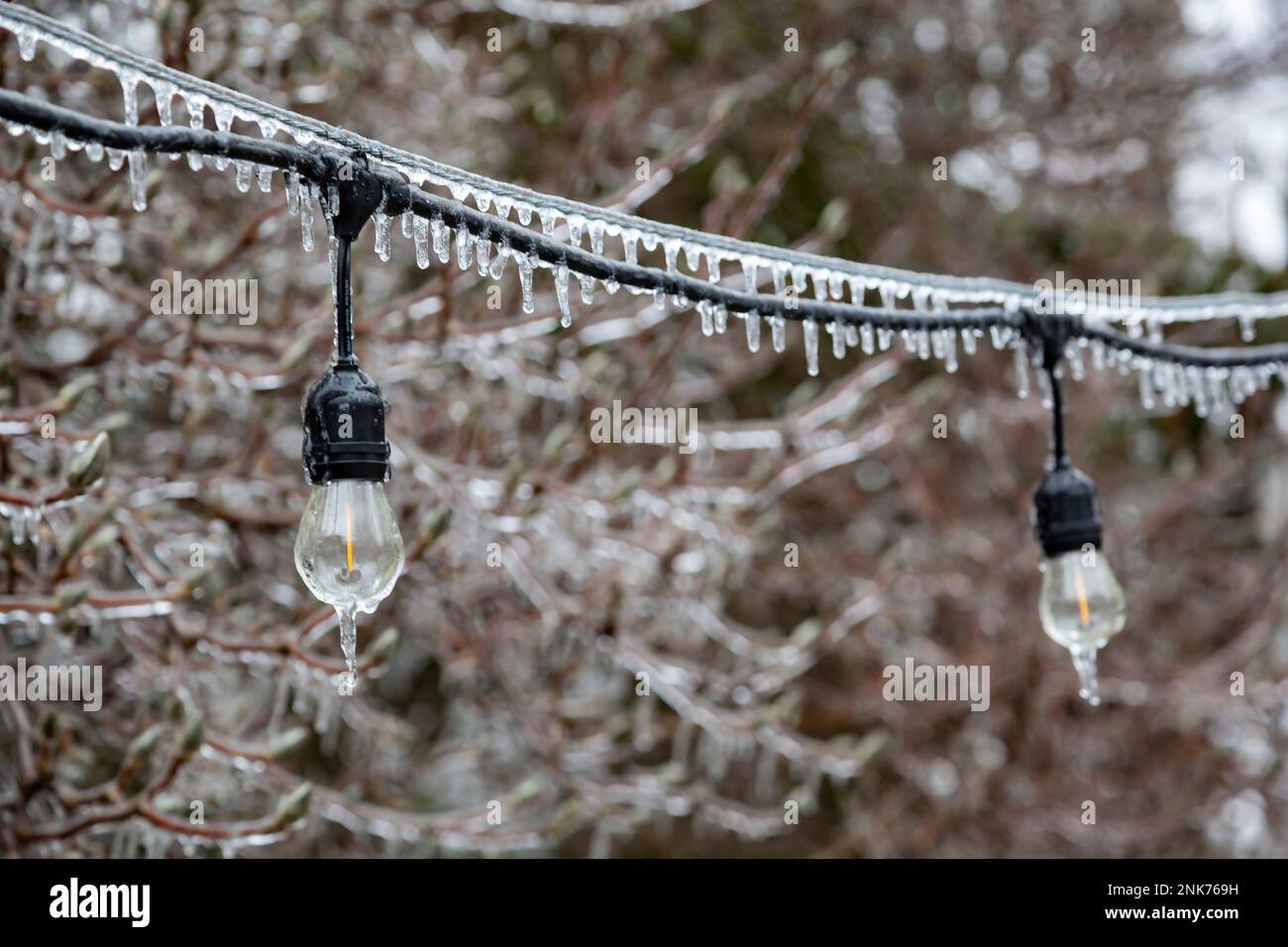 Power lines suffer a heavy coating of ice in Bloomfield Hills MI USA ...