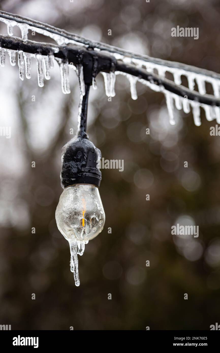 Power lines suffer a heavy coating of ice in Bloomfield Hills MI USA ...