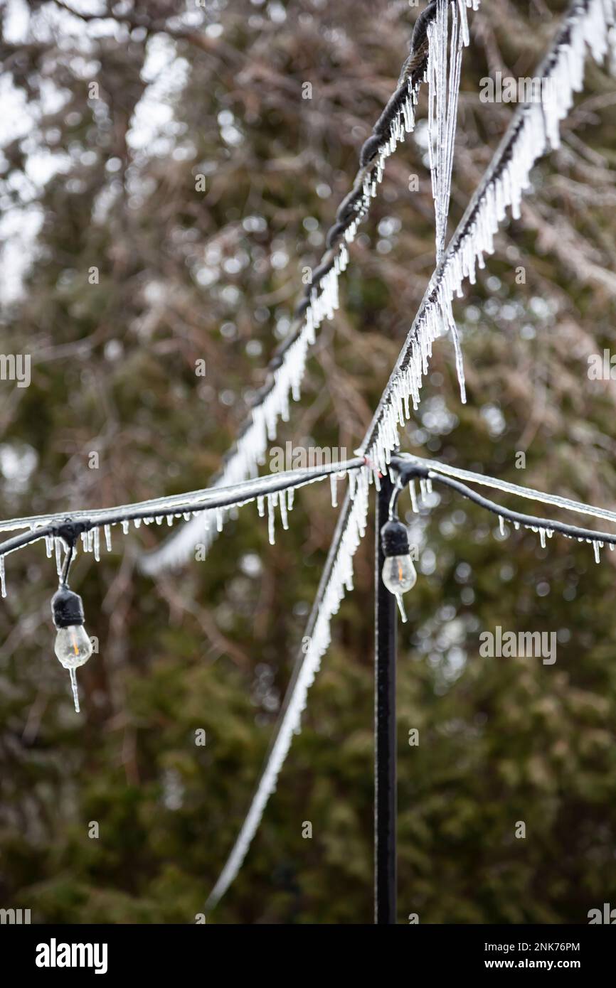 Power lines suffer a heavy coating of ice in Bloomfield Hills MI USA ...