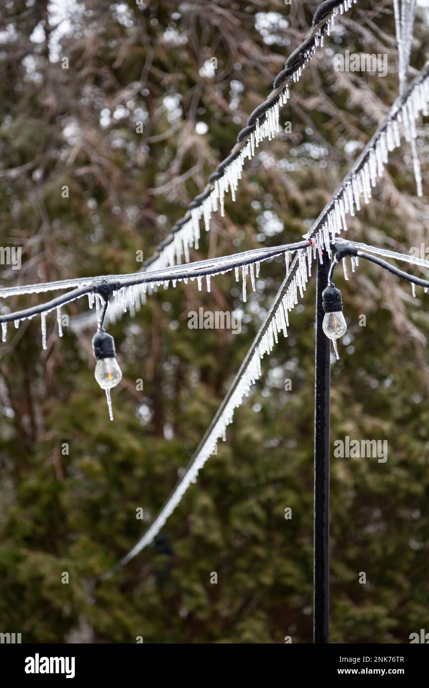 Power lines suffer a heavy coating of ice in Bloomfield Hills MI USA ...