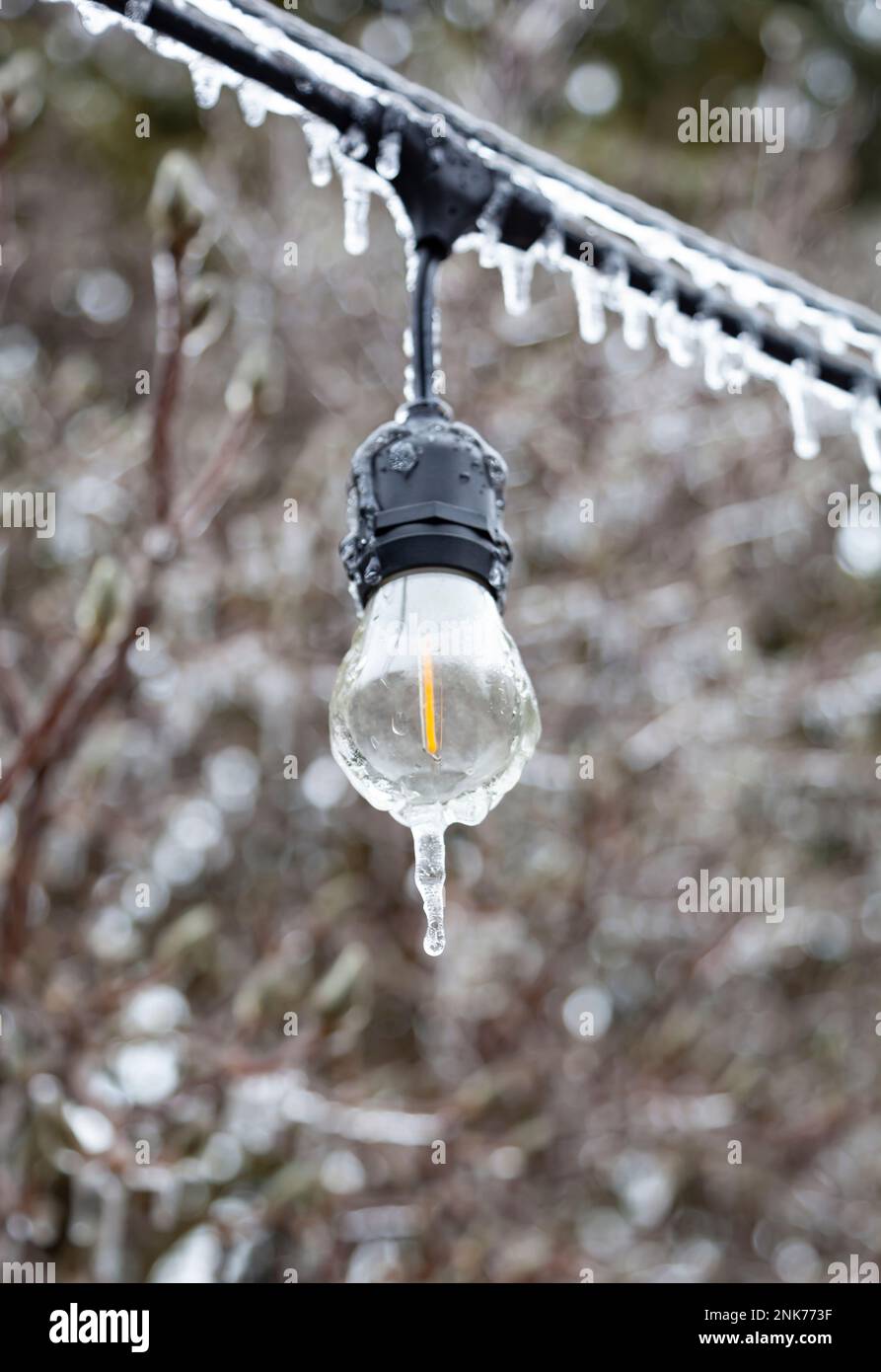 Power lines suffer a heavy coating of ice in Bloomfield Hills MI USA ...
