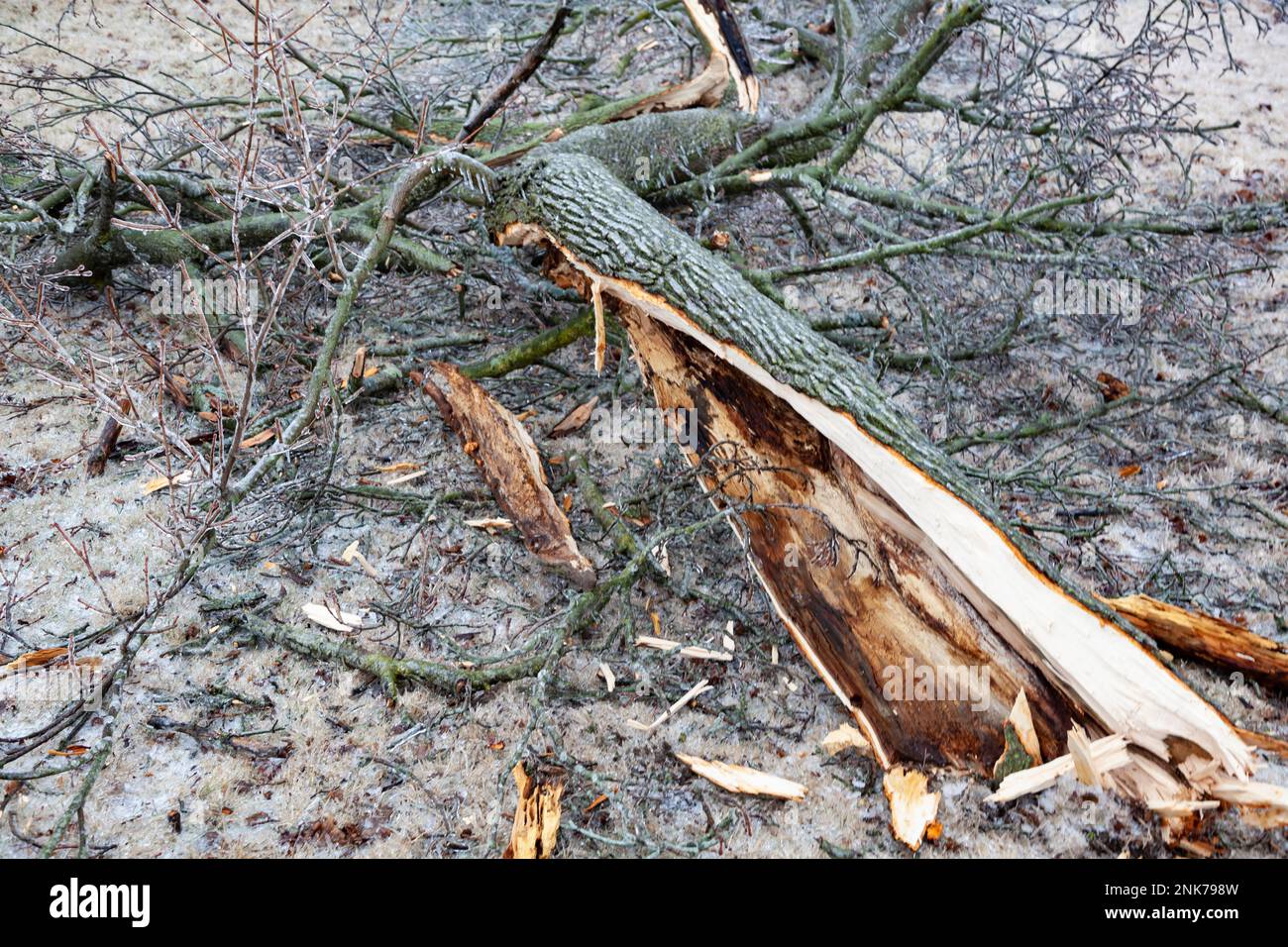 Suffered storm damage hi-res stock photography and images - Alamy