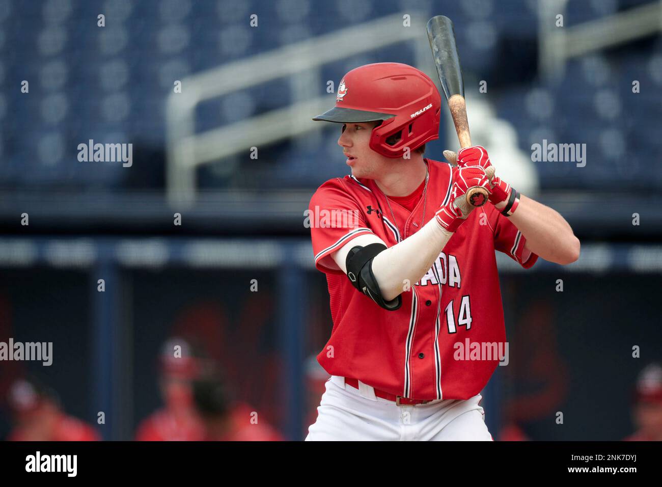 Matt Evans Baseball