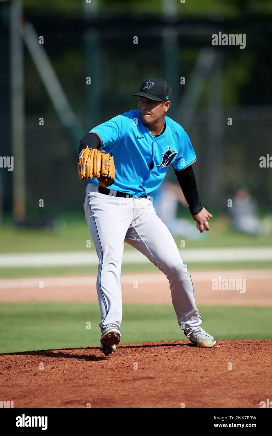 Miami Marlins pitcher Luis Palacios (15) during a MiLB Spring Training ...