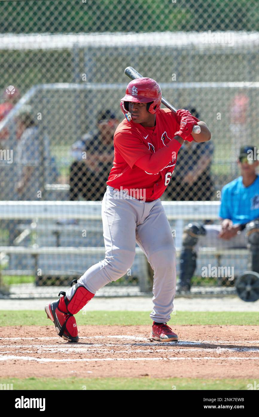 St. Louis Cardinals Nathanael Heredia (62) bats during a MiLB Spring ...