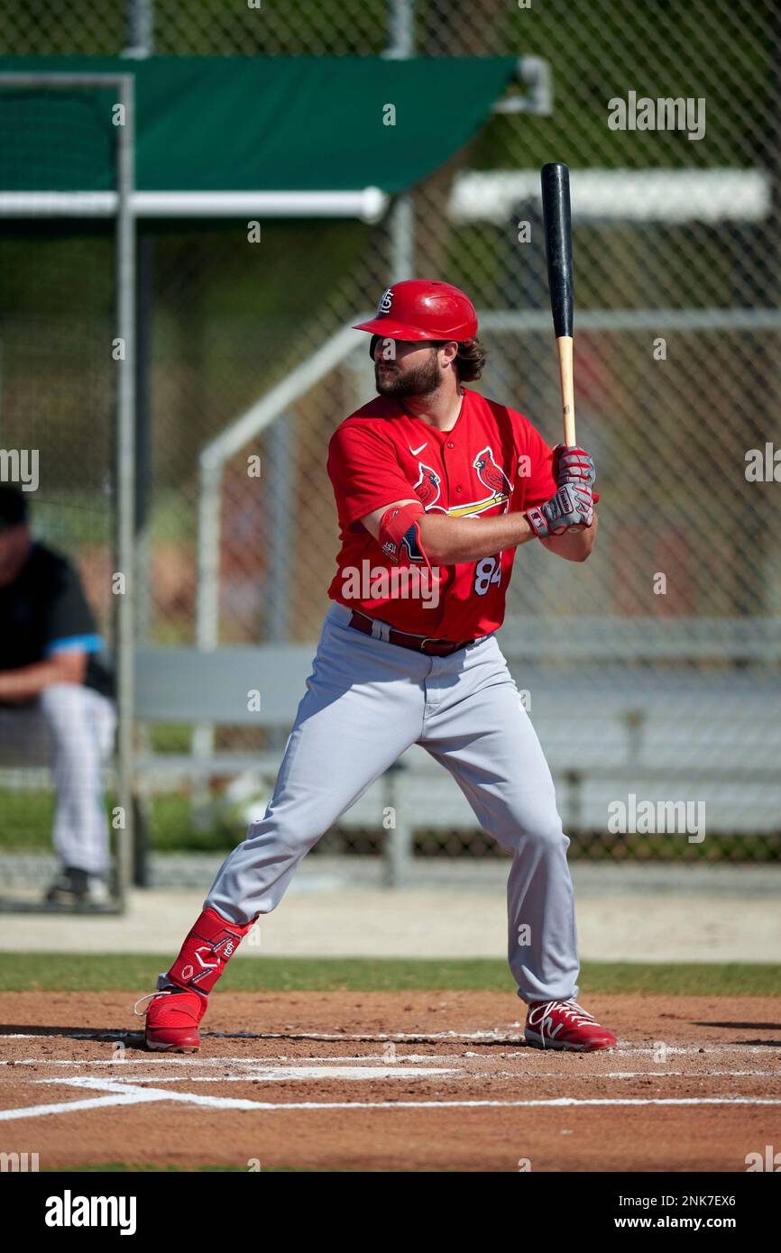 St. Louis Cardinals Alec Burleson (84) bats during a MiLB Spring ...