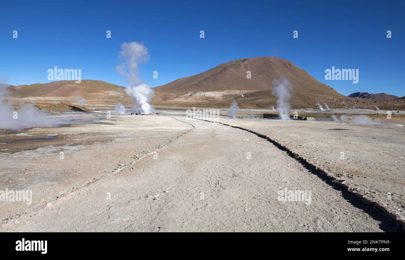 El Tatio geyser field in Chile Stock Photo - Alamy