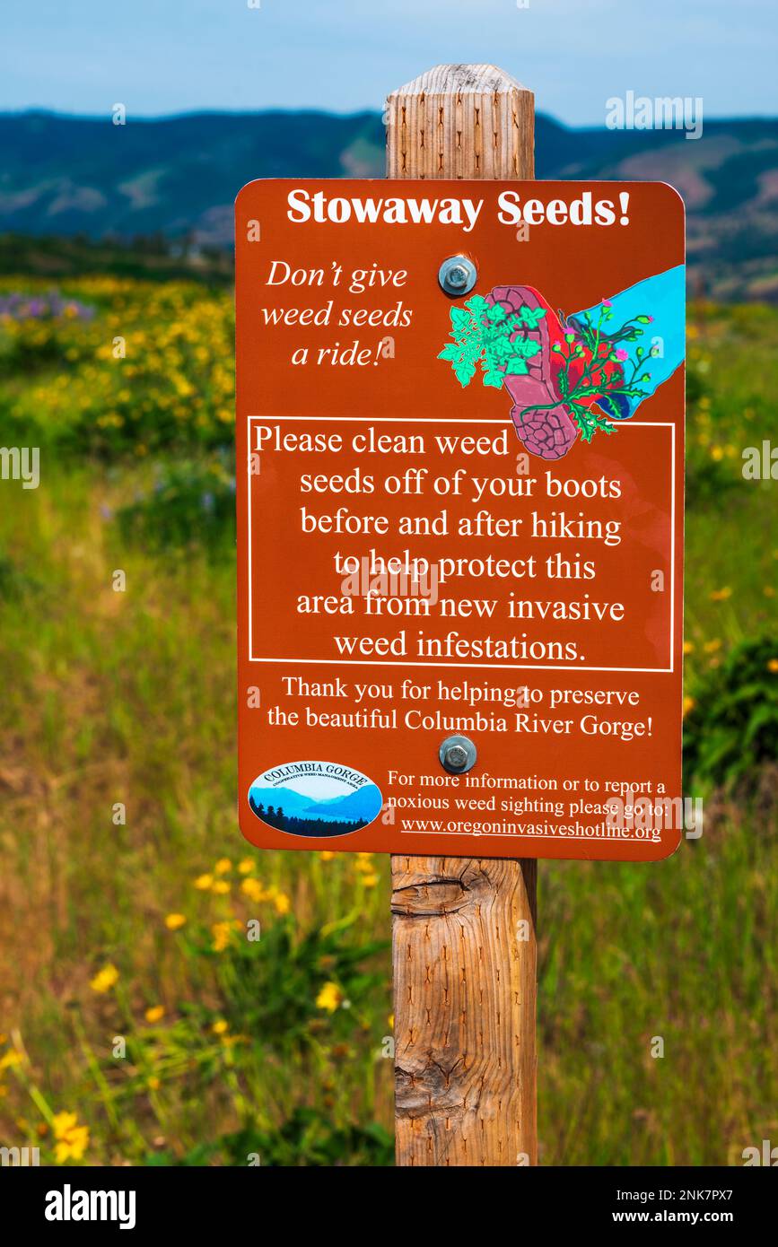 Weed warning sign at Tom McCall Preserve, Columbia River Gorge National ...