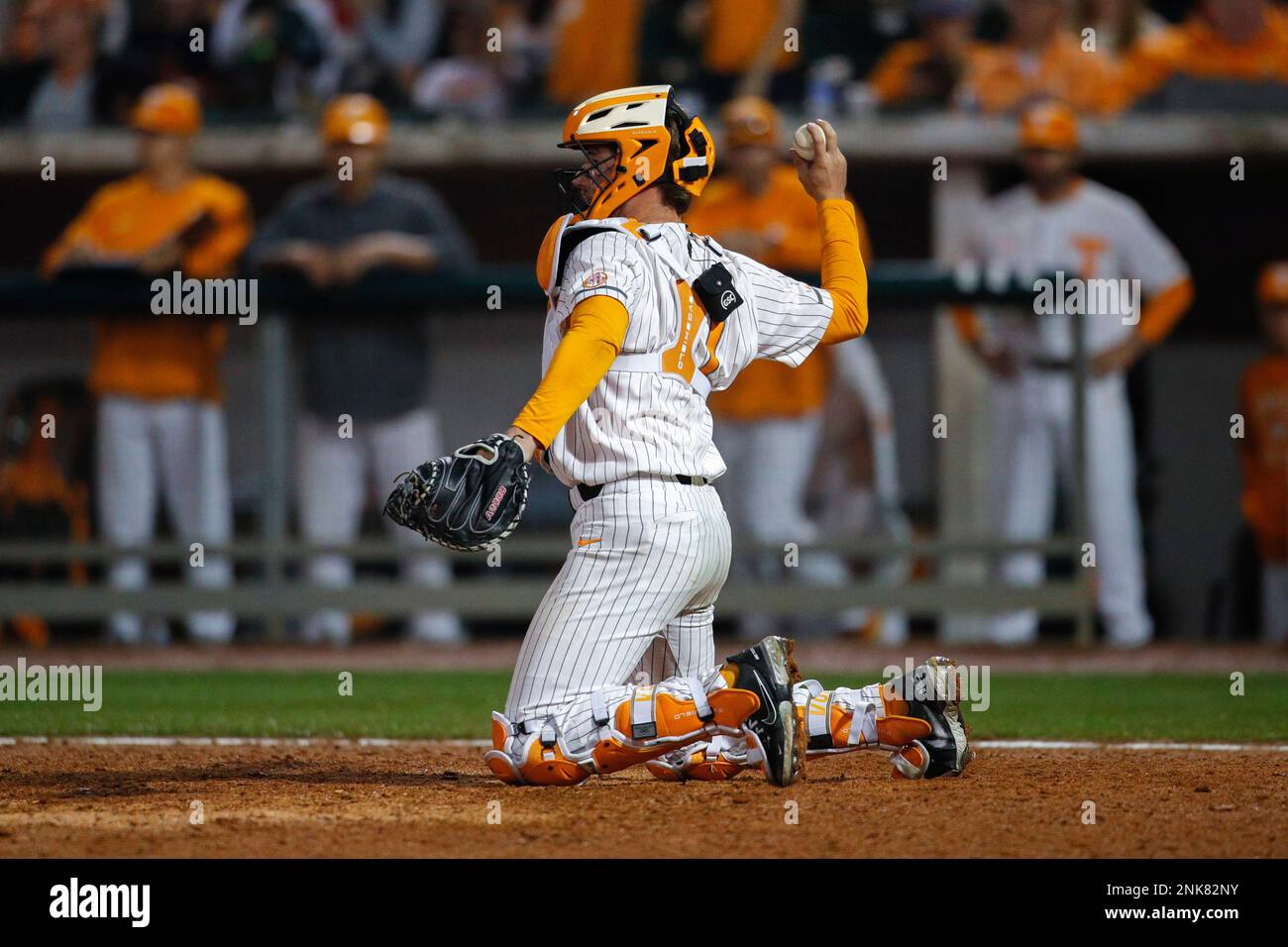 Tennessee Volunteers catcher Jared Dickey (17) on defense against the ...