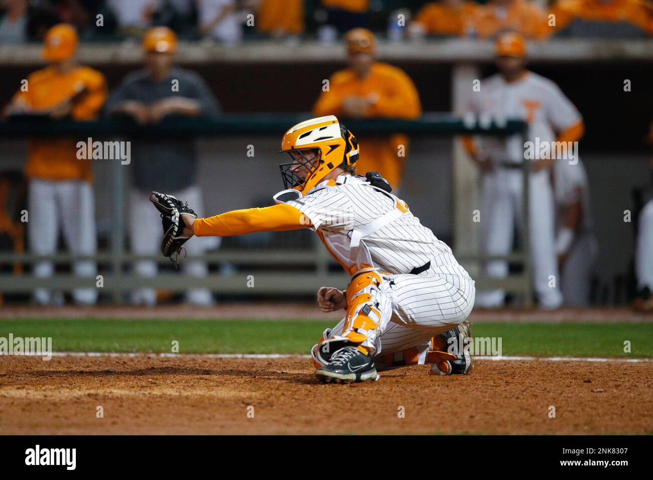 Tennessee Volunteers catcher Jared Dickey (17) on defense against the ...