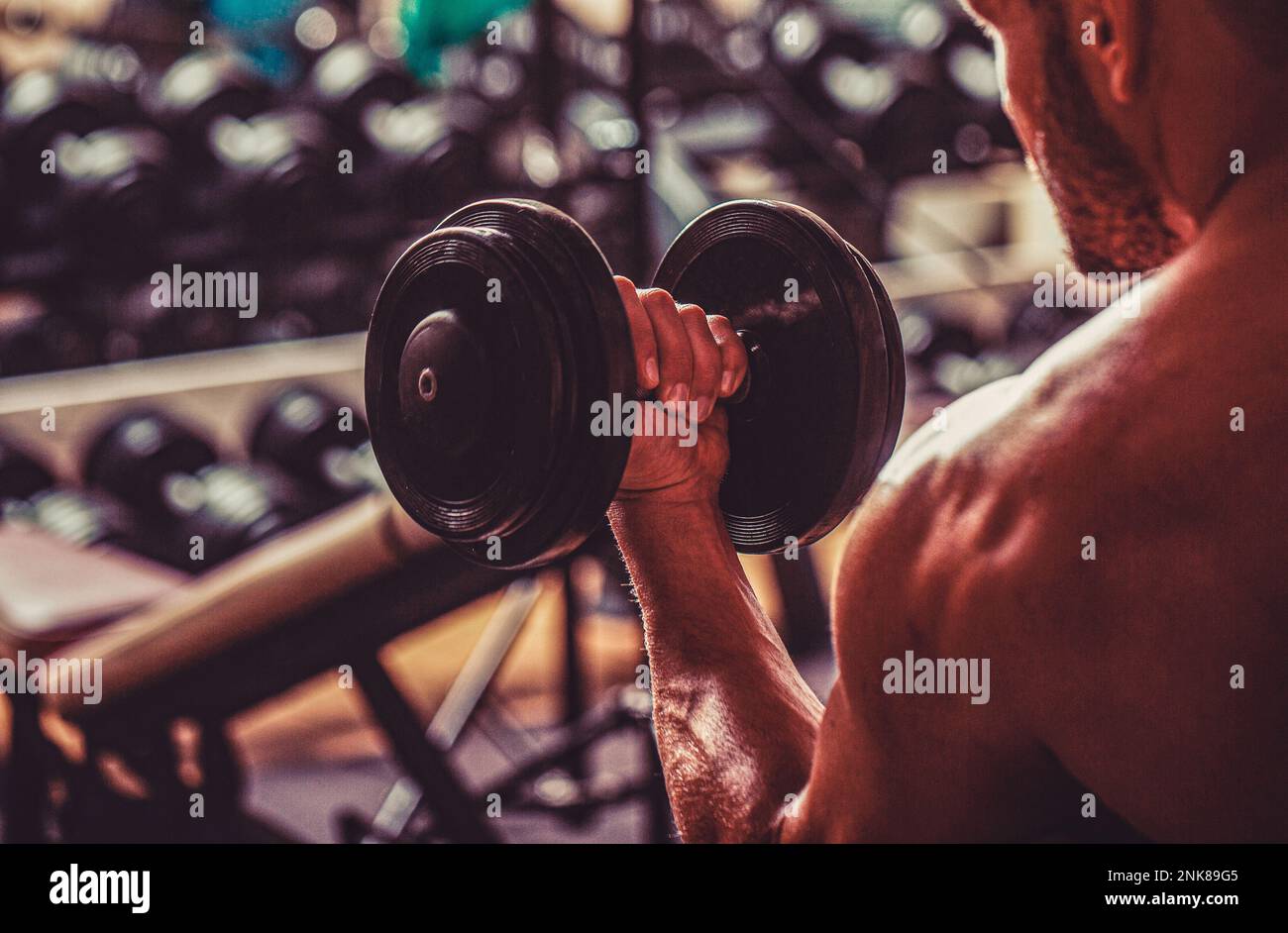 Bodybuilder working out with dumbbell weights at the gym. Man ...