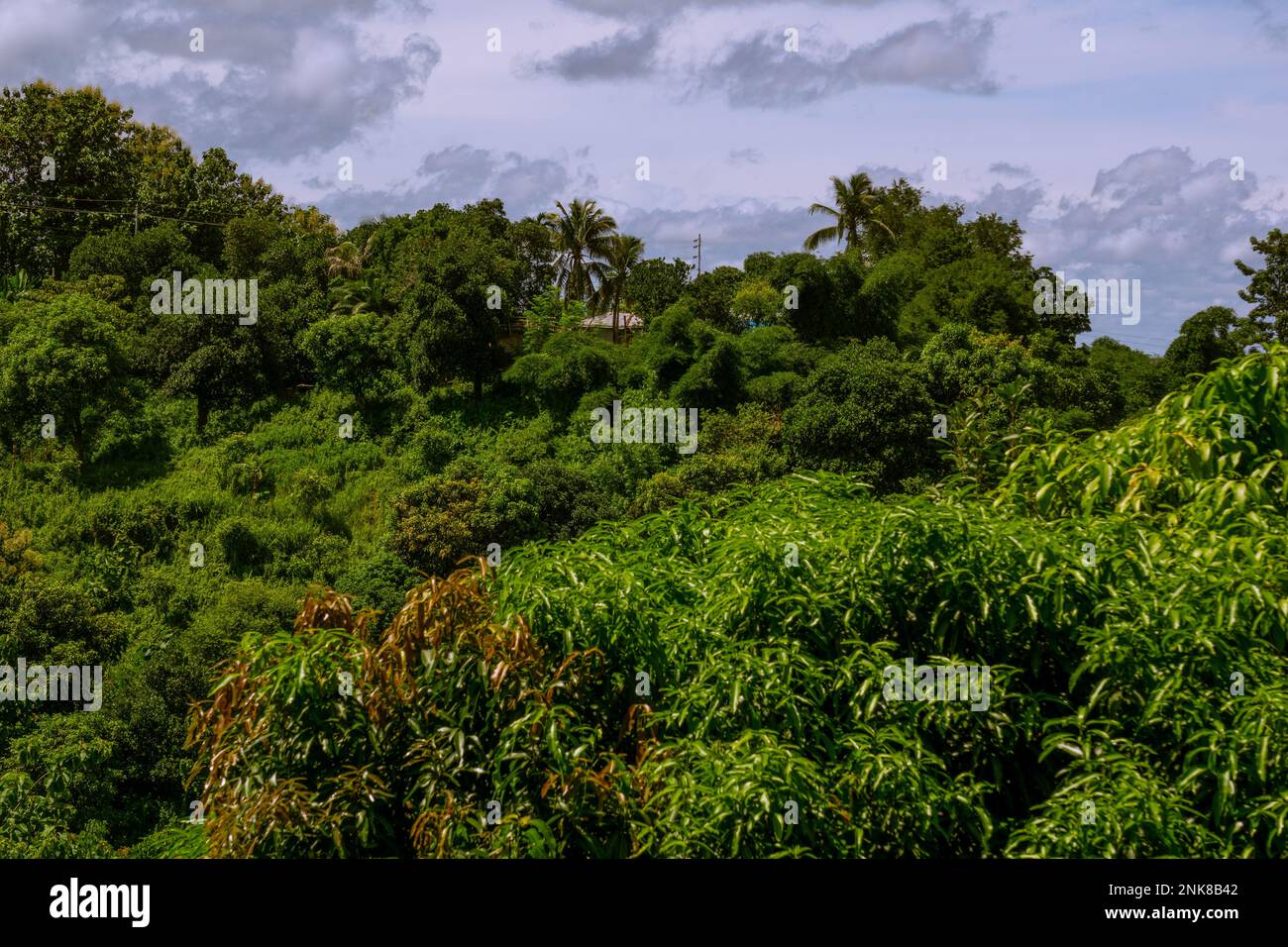 Beautiful landscape with cloudy Sky in Hill at Bandarban Bangladesh ...