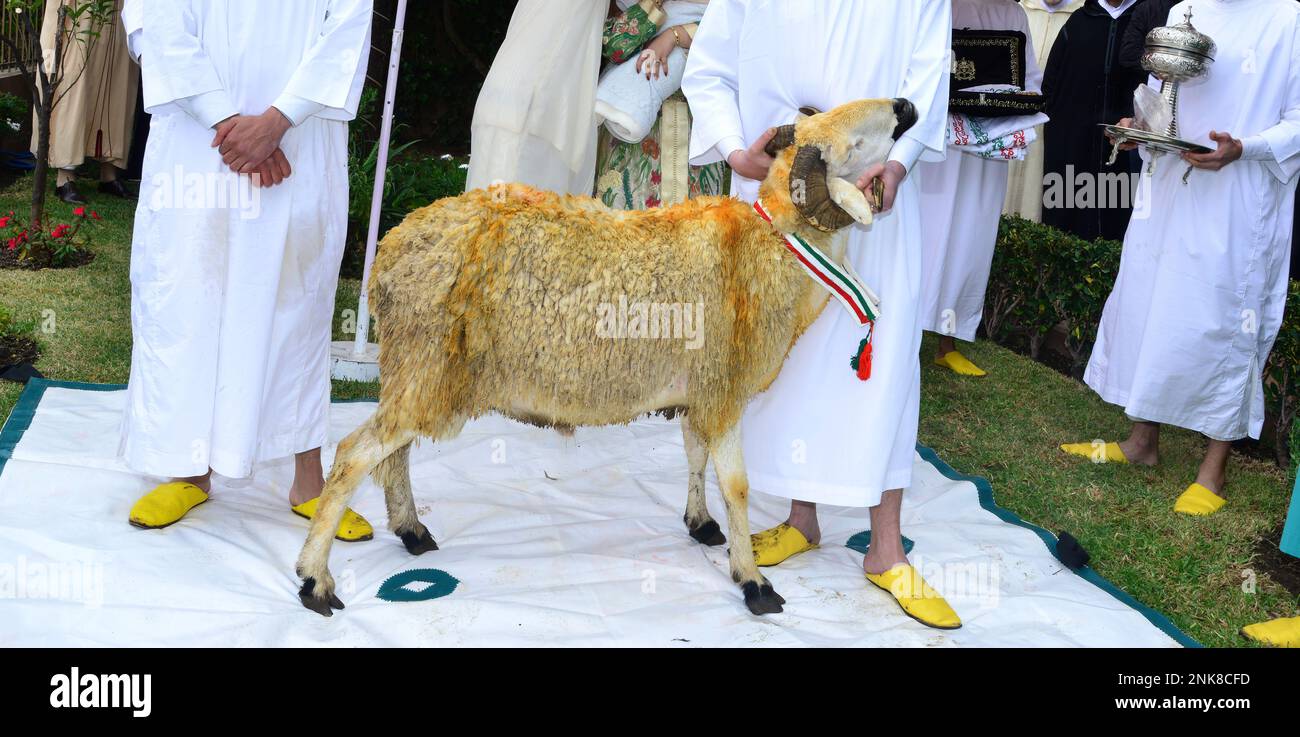Eid al adha hi-res stock photography and images - Alamy