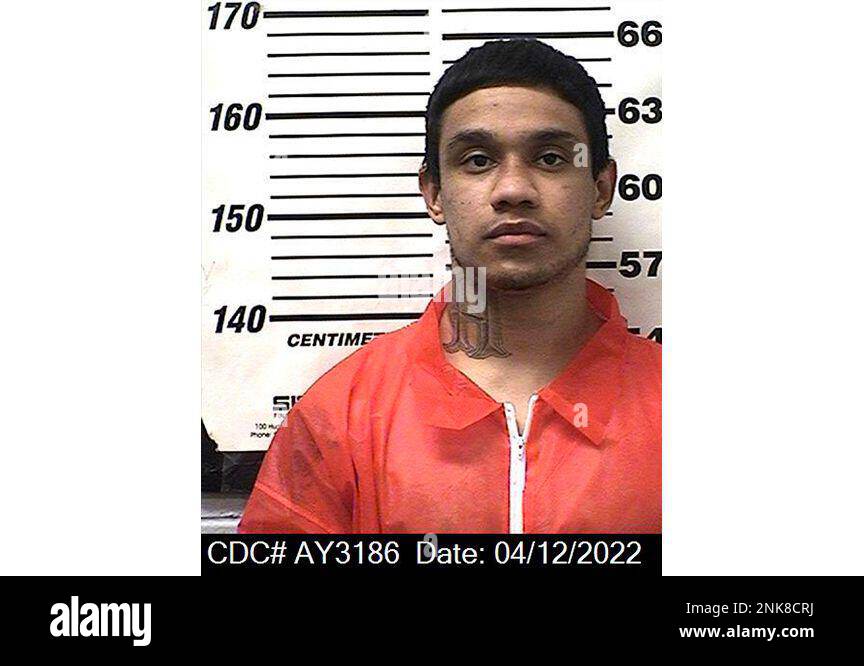 This April 12, 2022, photo released by the California Department of ...